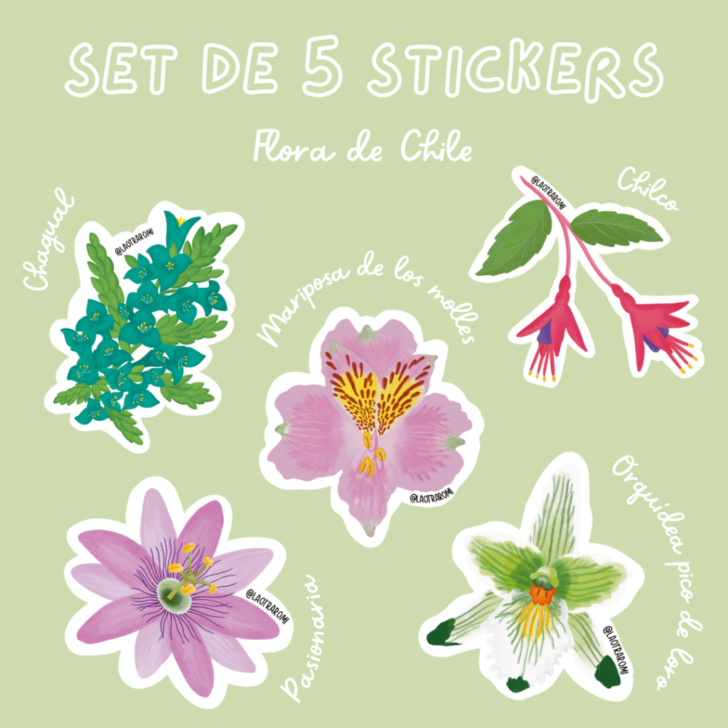 Pack 5 stickers Flora de Chile - La Otra Romi